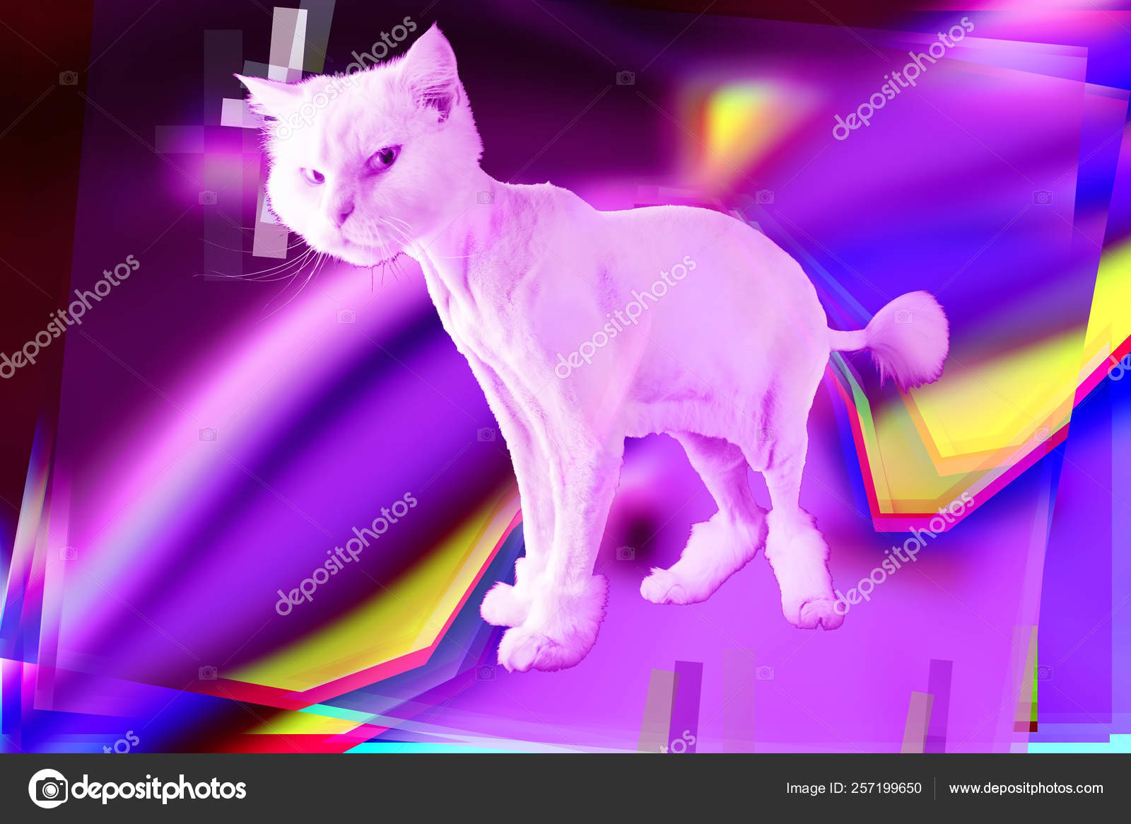 Pink cat. Retro wave synth vaporwave portrait of a funny cat. Concept ...
