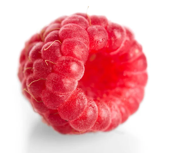 Red Raspberry White Background — Stock Photo © valphoto #222689504