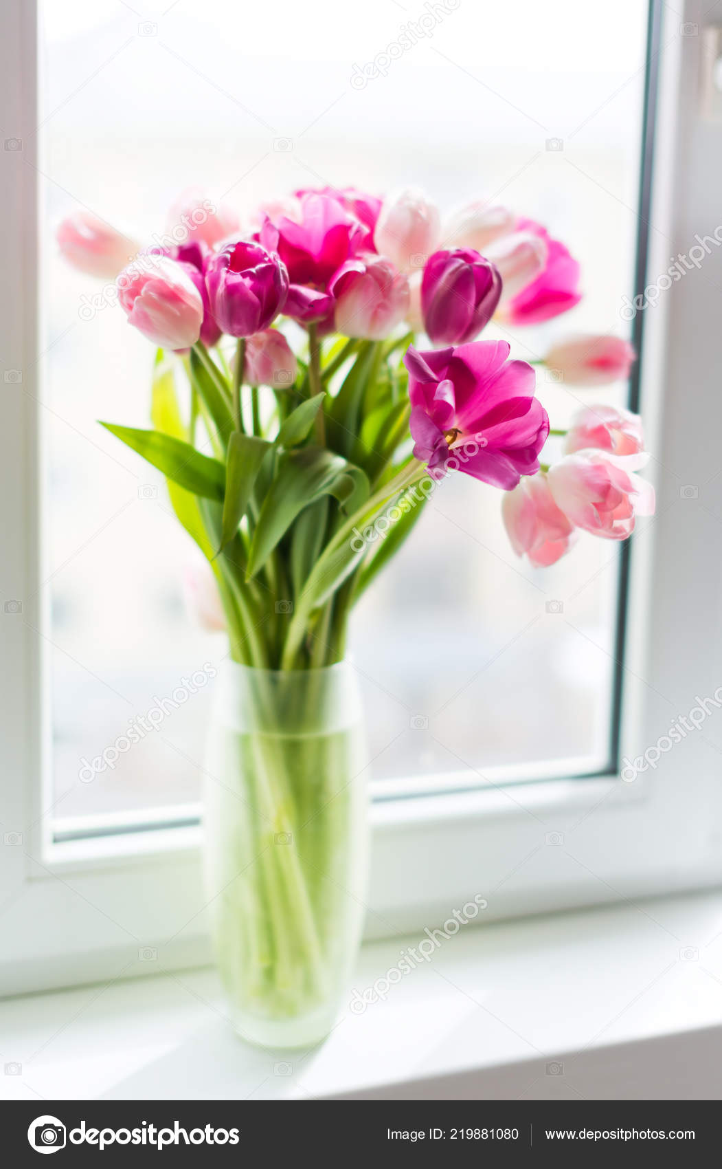 Pink Tulips In Vase