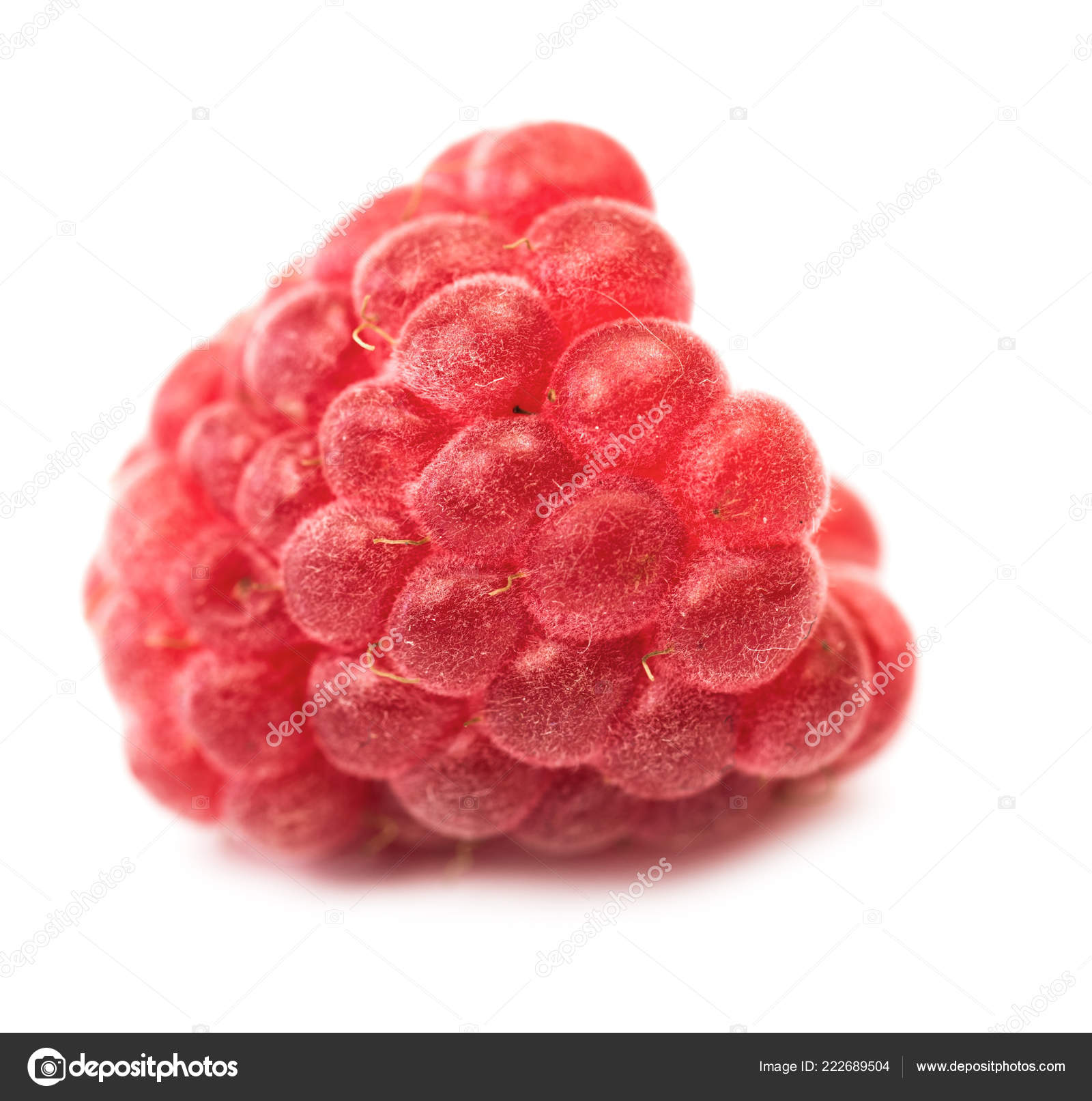 Red Raspberry White Background — Stock Photo © valphoto #222689504