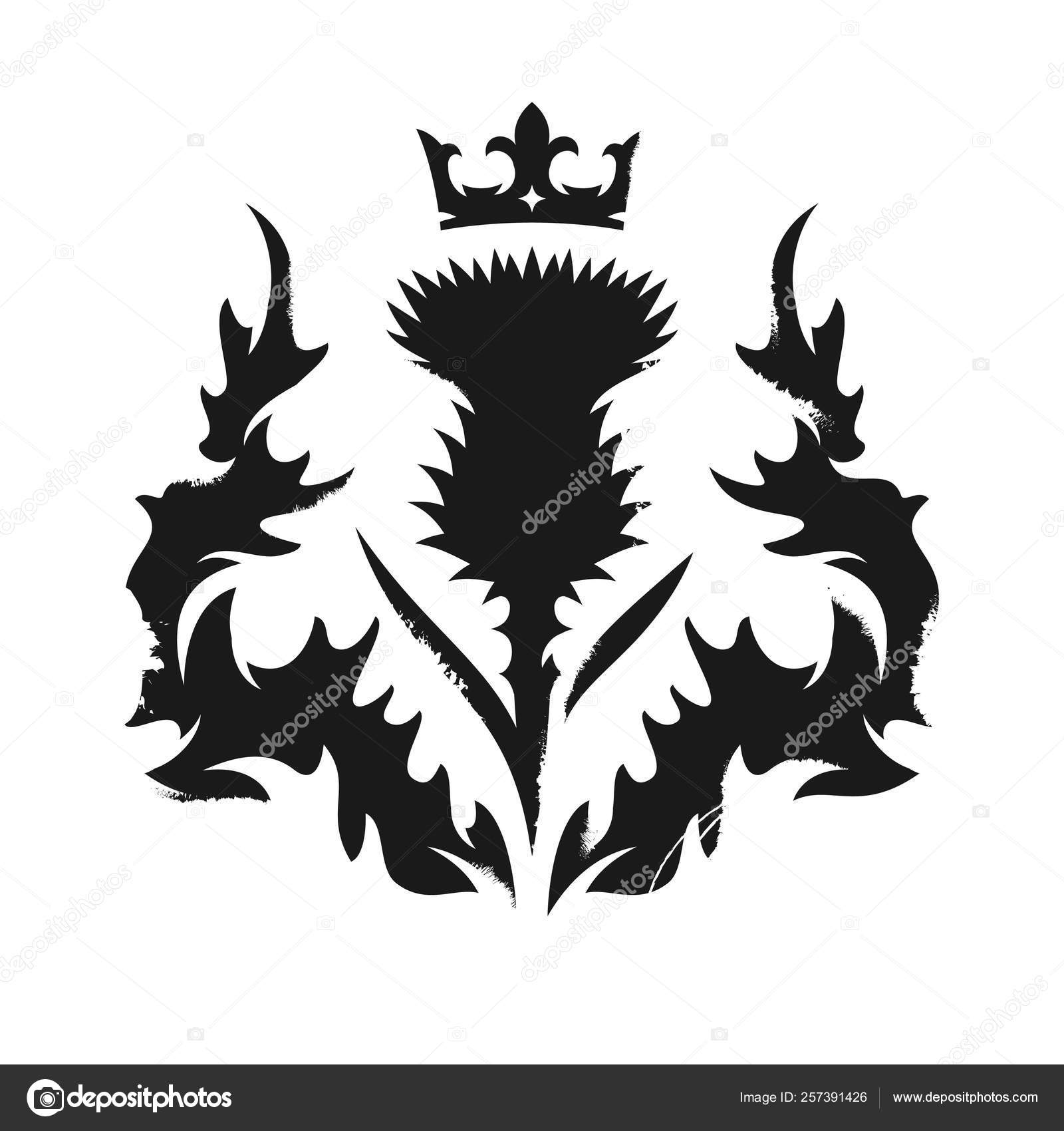 Scottish thistle Stock Vector Image by ©Heizel #257391426