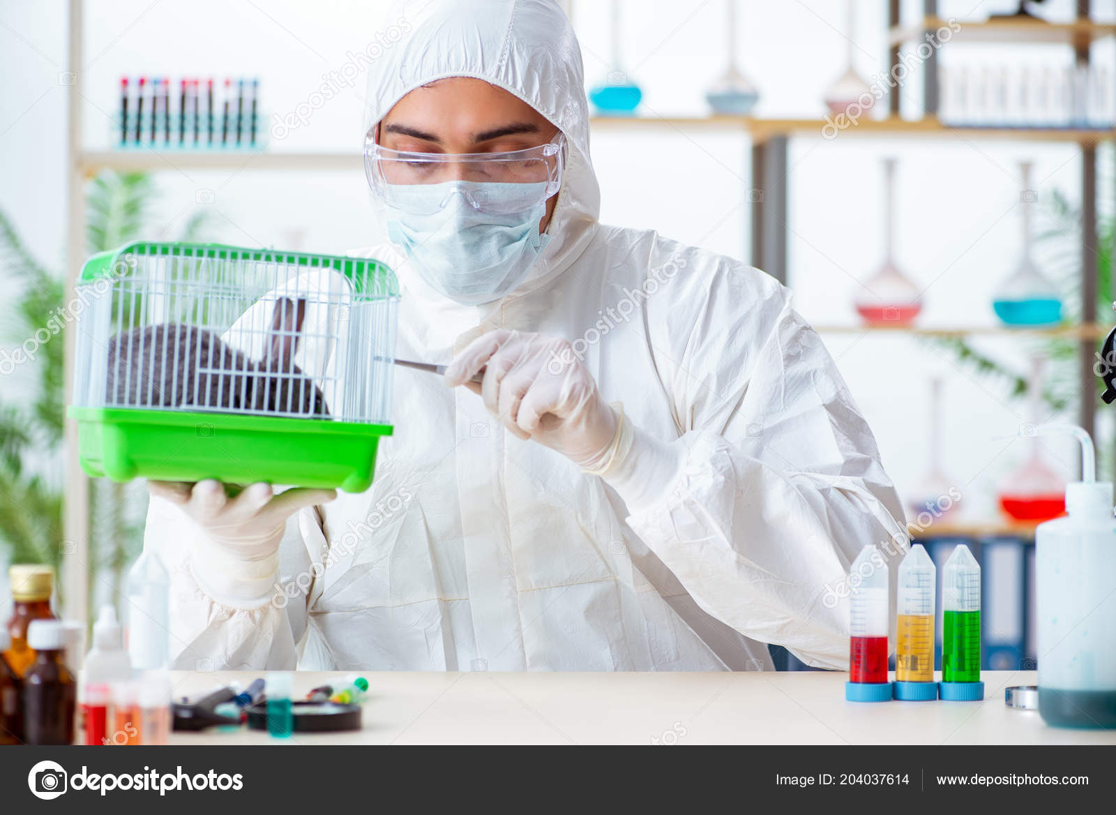 Scientist doing testing on animals rabbit Stock Photo by ©Elnur_ 204037614