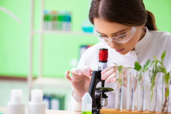 Herb lab Stock Photos, Royalty Free Herb lab Images | Depositphotos