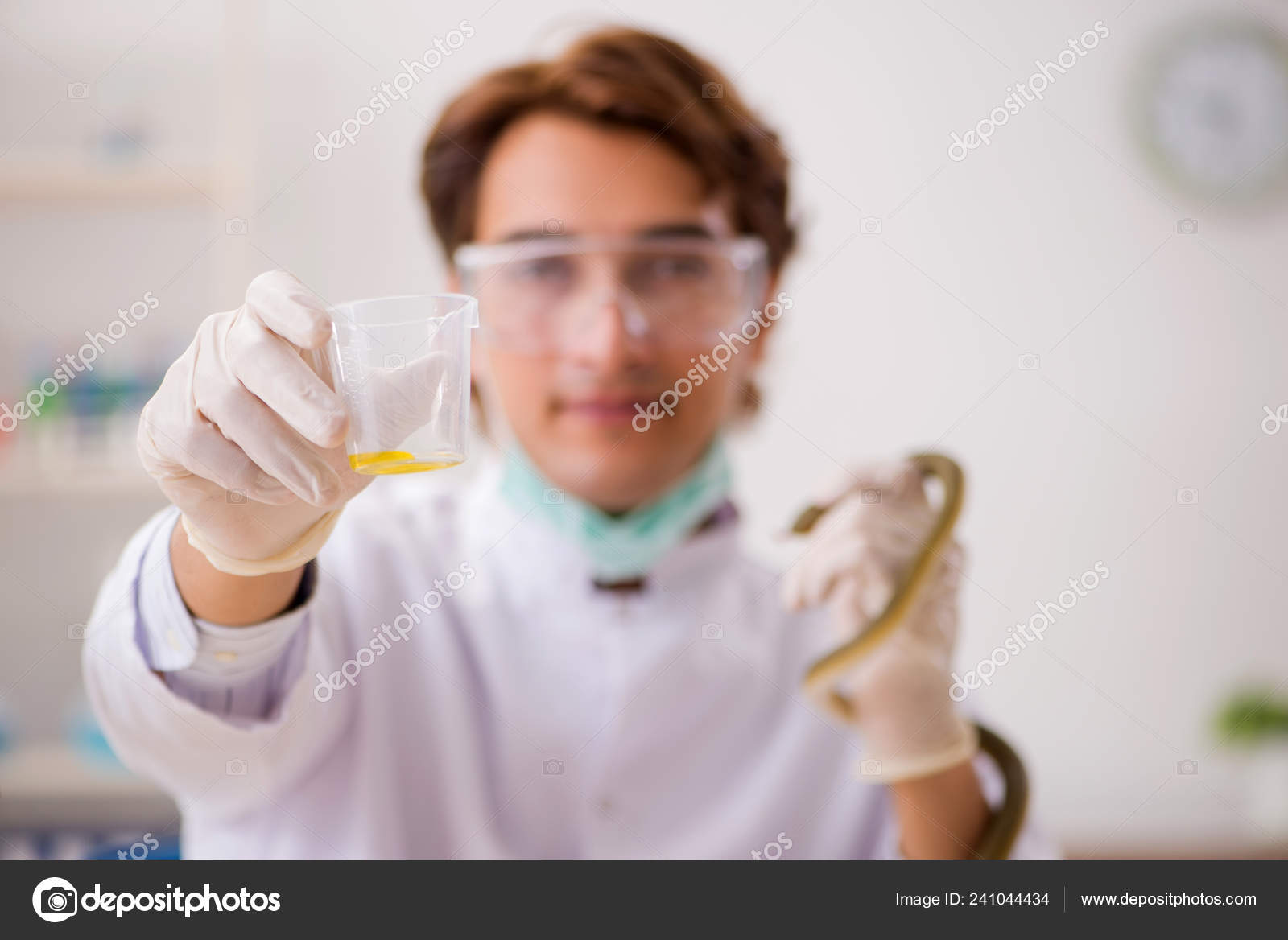 Male scientist extracting poison from snake for drug synthesis — Stock ...