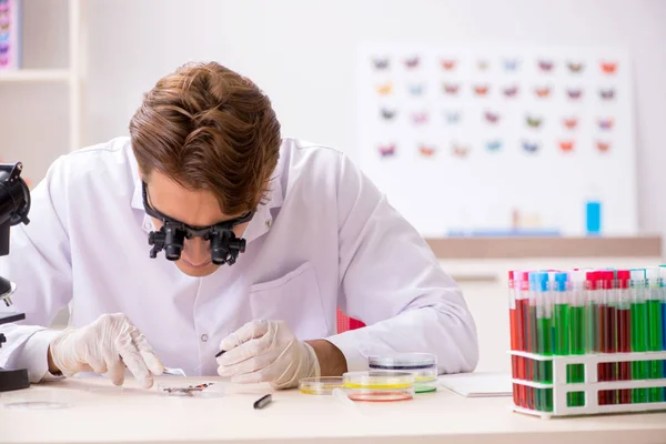 Forensic laboratory Stock Photos, Royalty Free Forensic laboratory ...