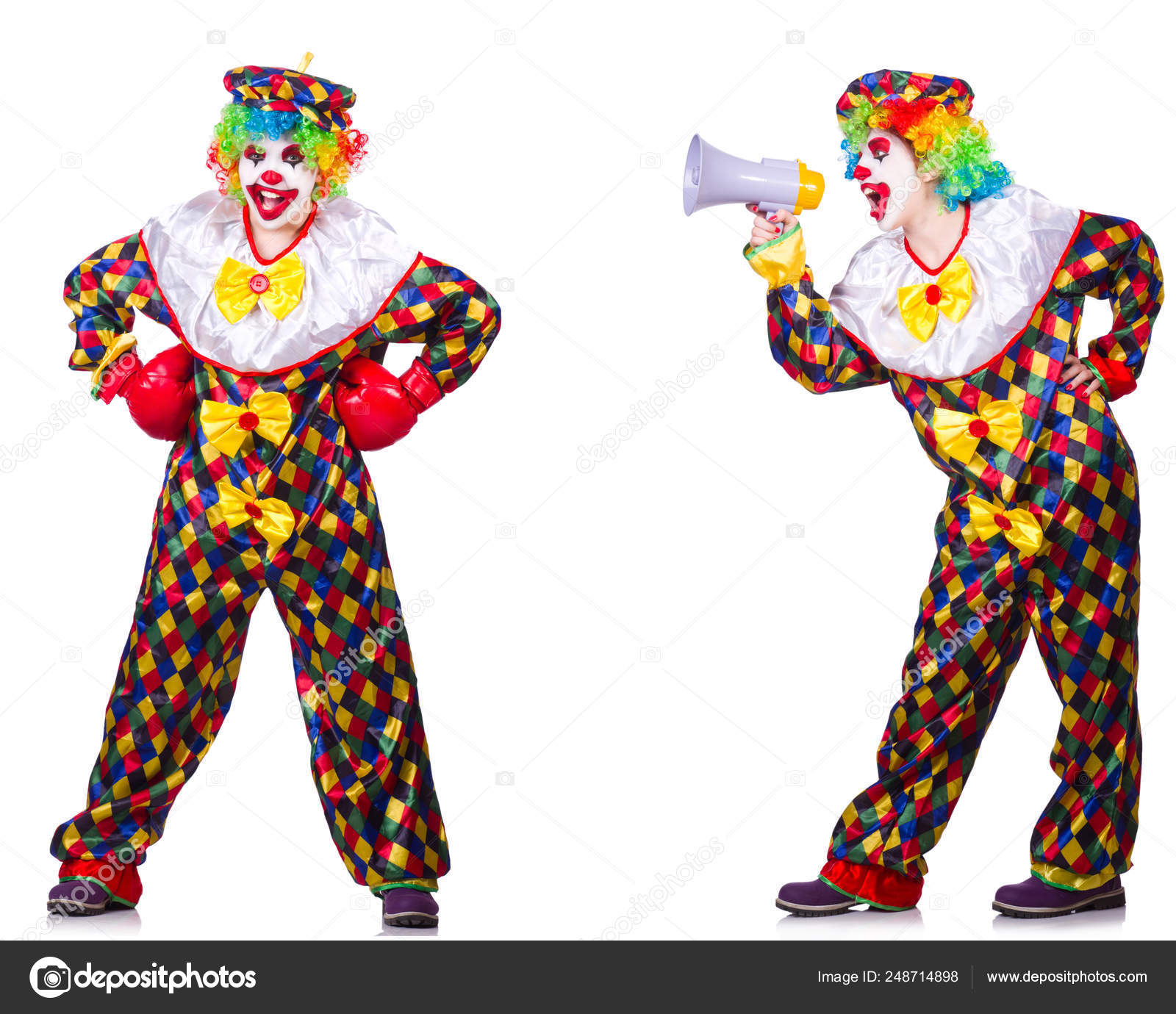 Funny male clown with boxing gloves and loudspeaker Stock Illustration ...