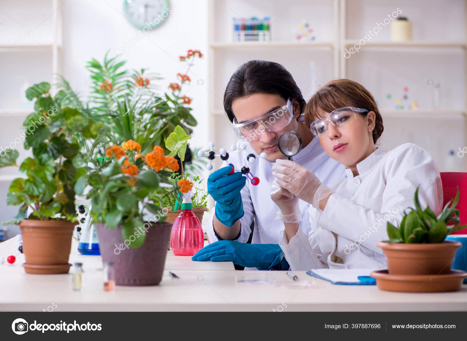 Two young botanist working in the lab — Stock Photo © Elnur_ #397887696