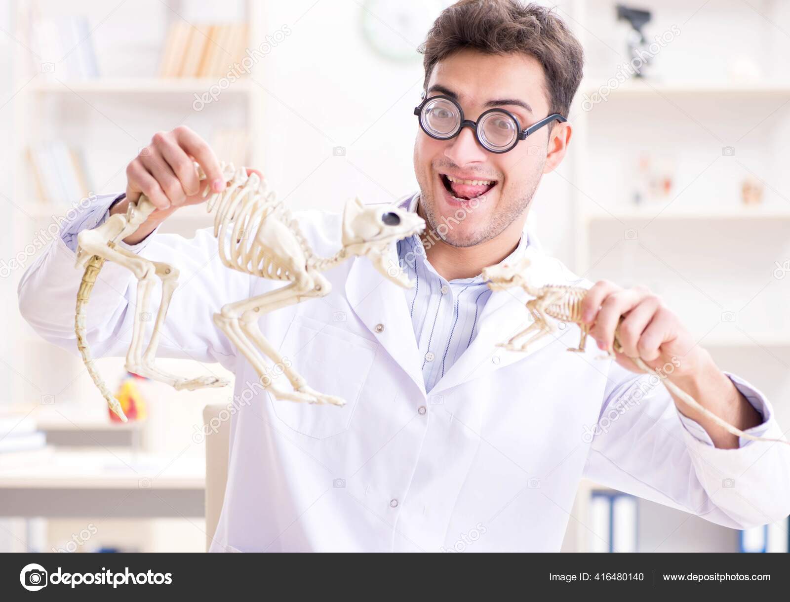Funny crazy student doctor studying animal skeleton — Stock Photo ...