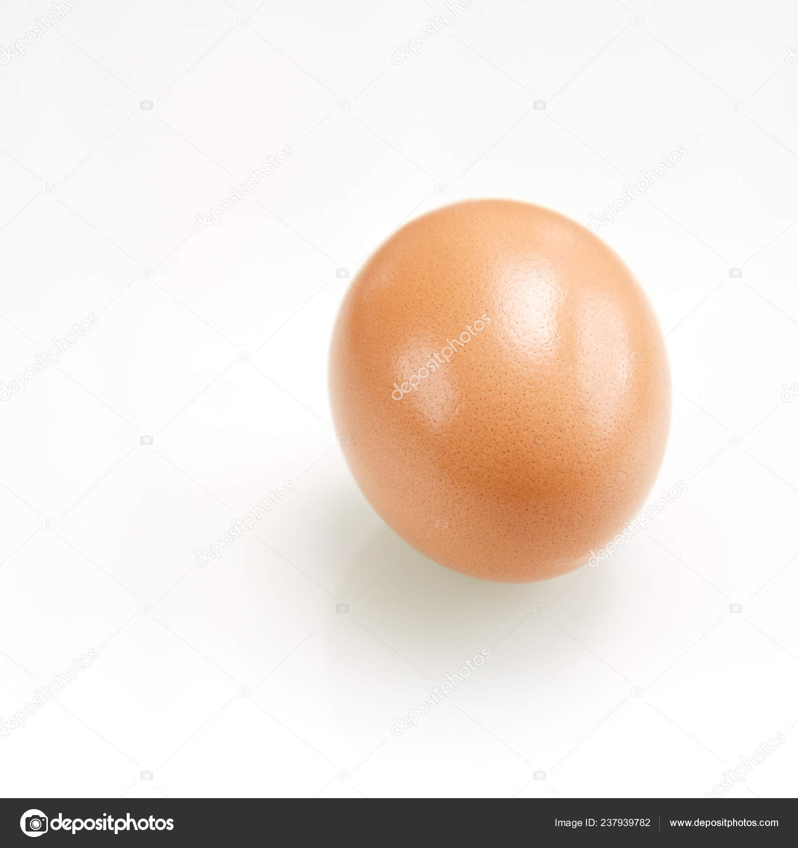 Single Brown Chicken Egg Stock Photo by ©FineShine 237939782
