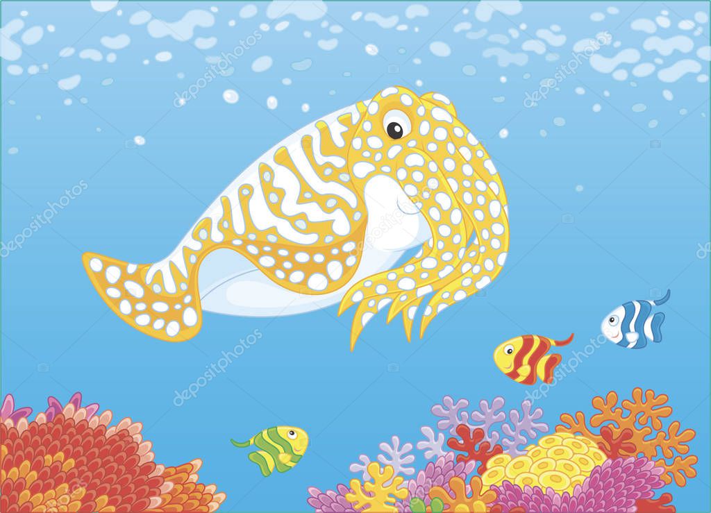 sepia y pequeños peces mariposa nadando sobre coloridos corales en un ...