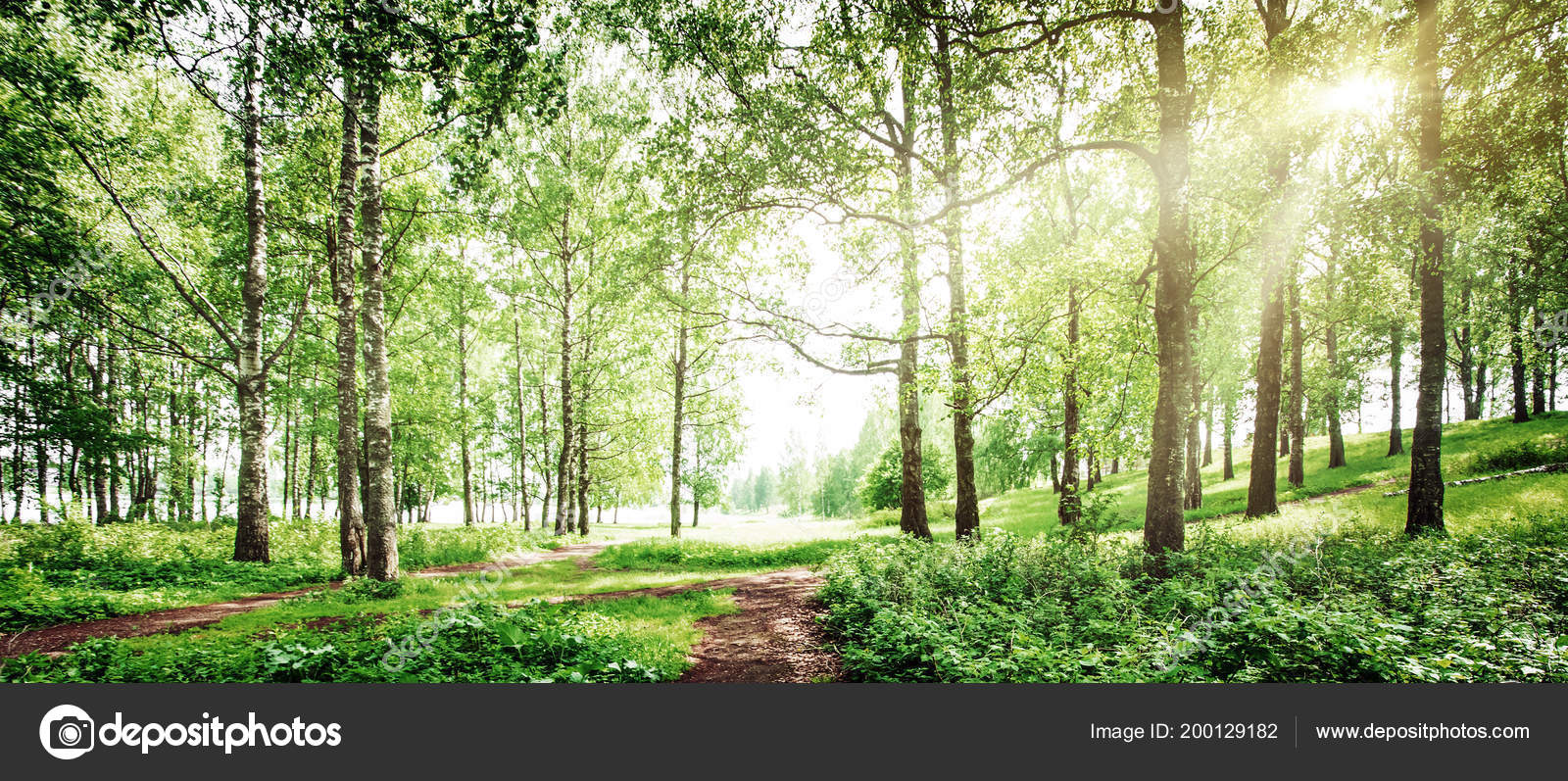 Beautiful park background Stock Photo by ©1xpert 200129182
