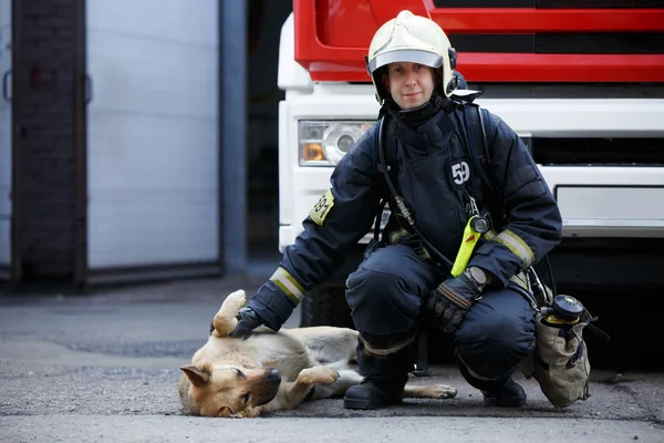 Fire rescue dog Stock Photos, Royalty Free Fire rescue dog Images ...