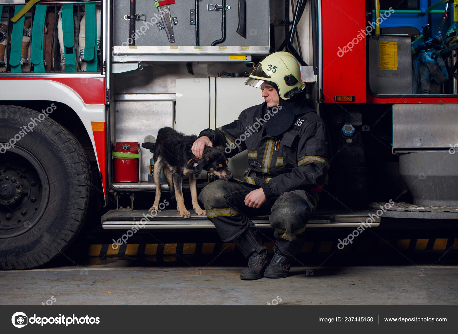 Imagen de bombero en casco con perro — Foto de stock #237445150 © logoff