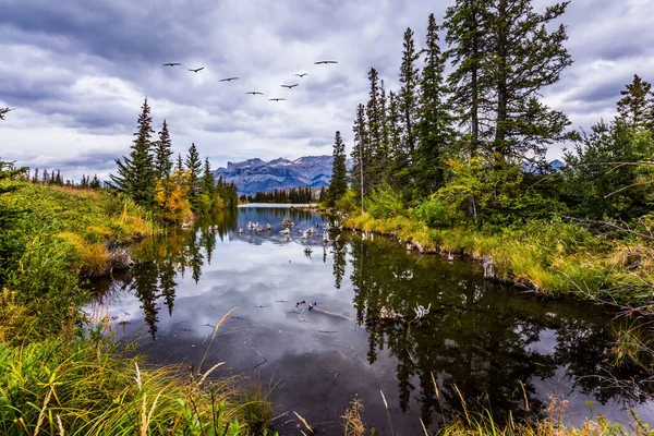 Alberta landscape Stock Photos, Royalty Free Alberta landscape Images ...