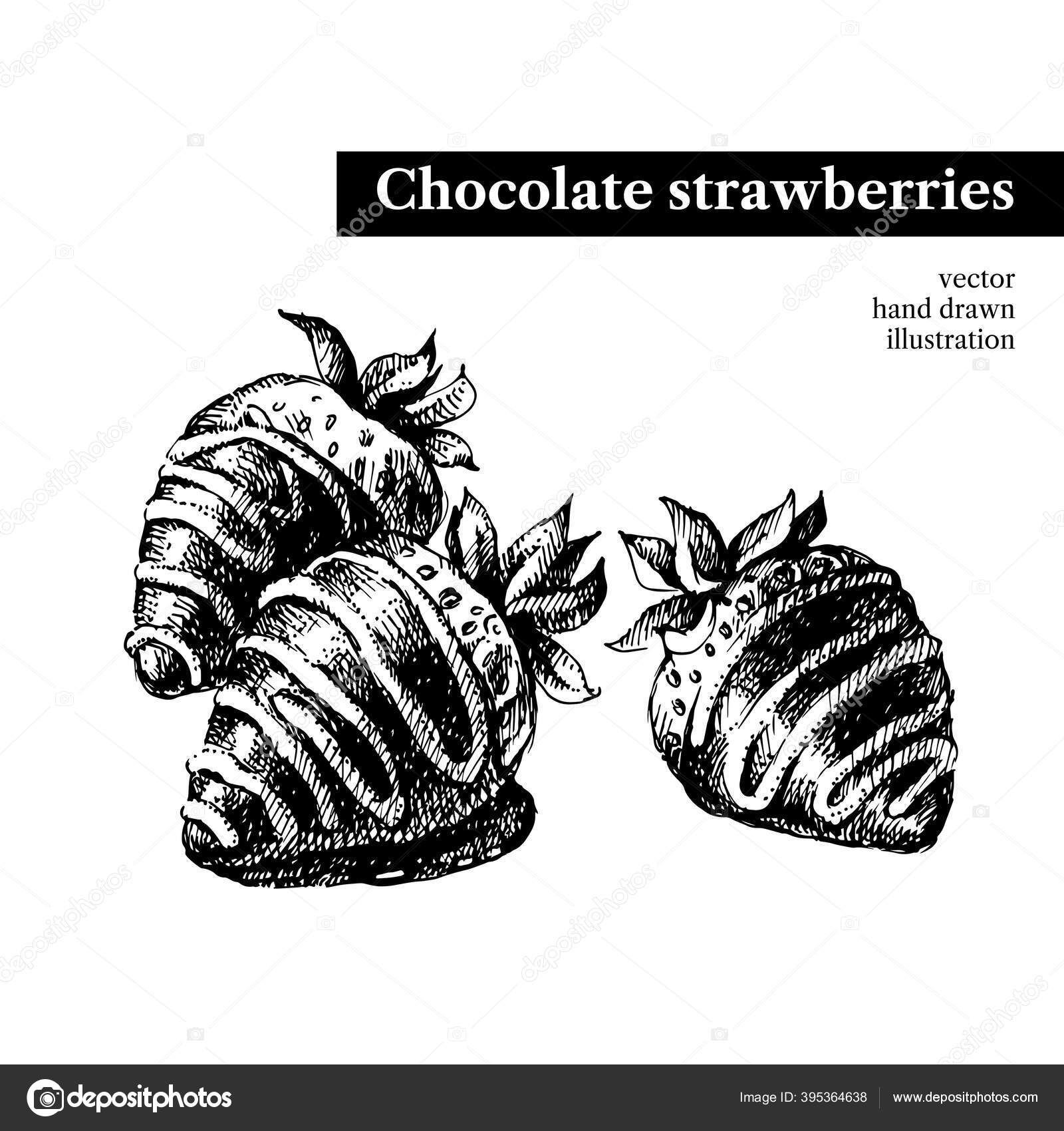 Hand Drawn Sketch Chocolate Strawberries Dessert Bar Vector Black White ...