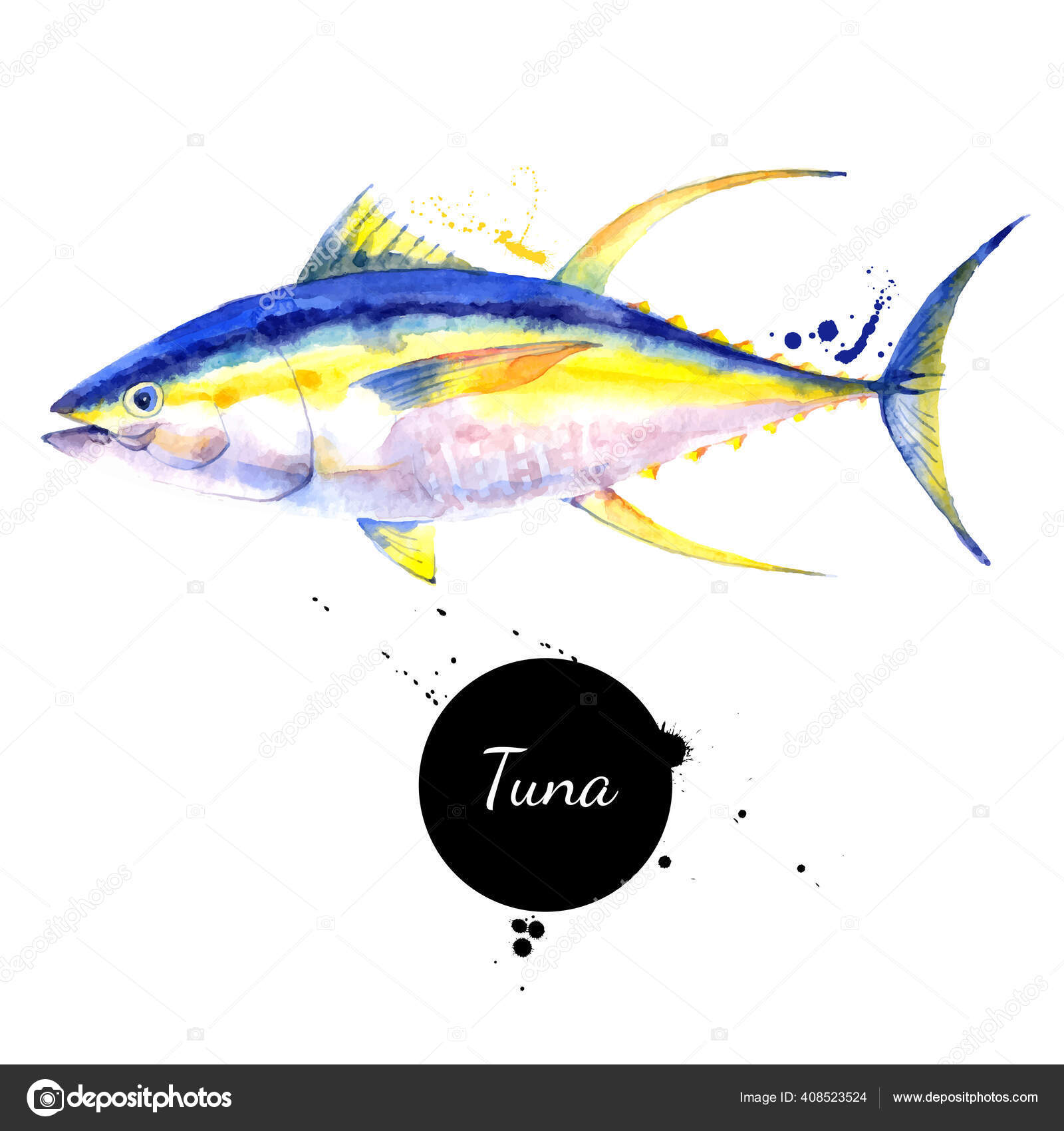 Yellowtail Tuna Drawing