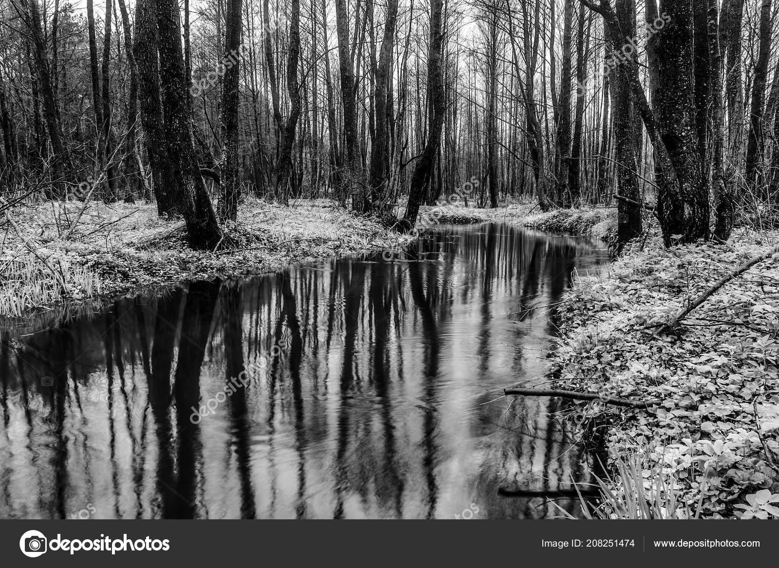 Black And White Photography River
