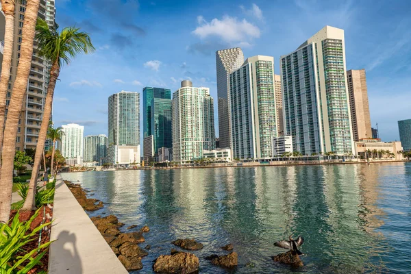 Brickell key park Stock Photos, Royalty Free Brickell key park Images ...