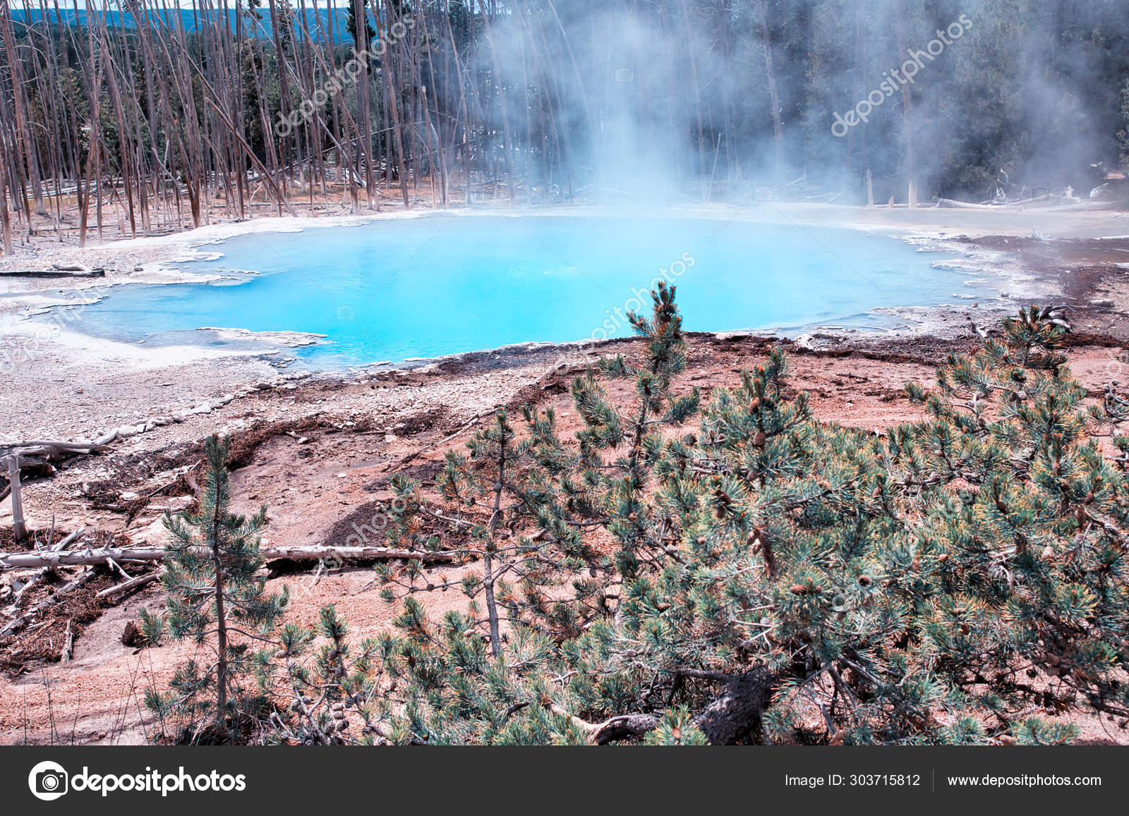 Cistern Spring in Yellowstone National Park, USA Stock Photo by ...