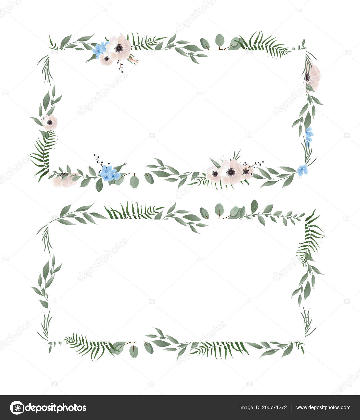 Conjunto de vectores. Marco floral. Frontera de marco con espacio de ...