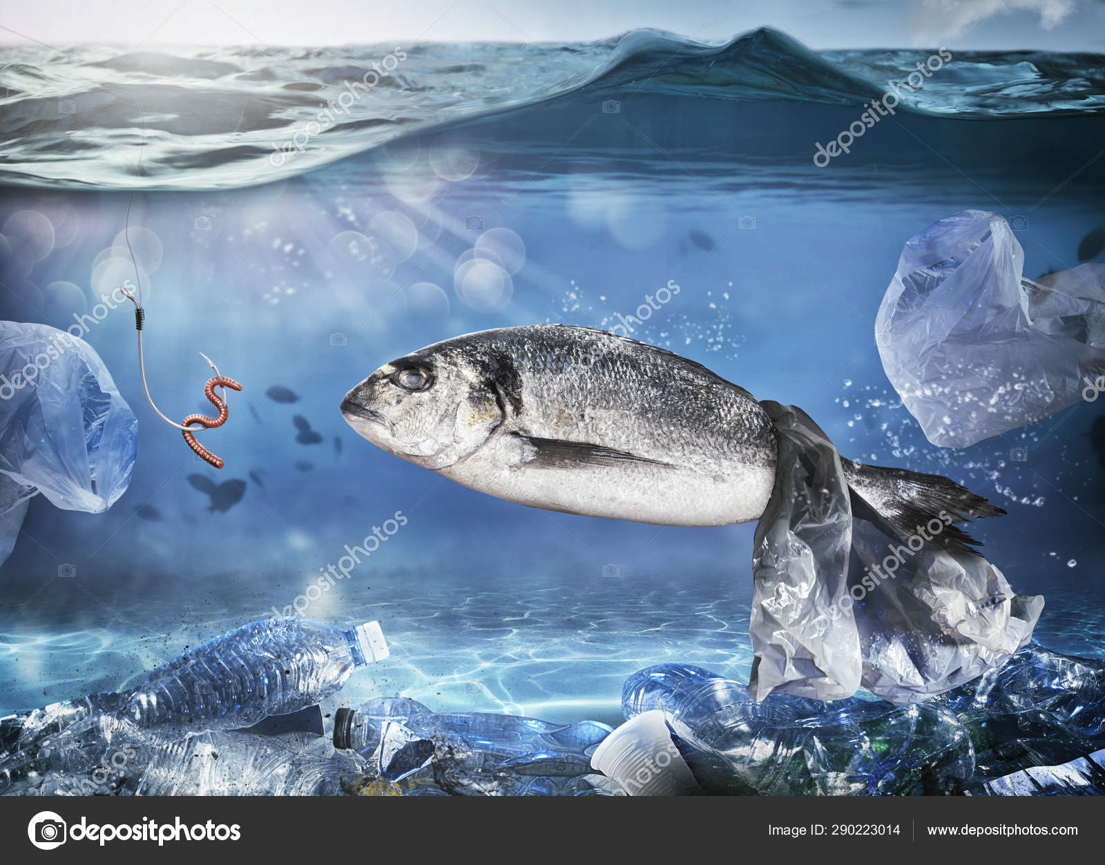 Peces atrapados por una bolsa flotante. Problema de la contaminación ...