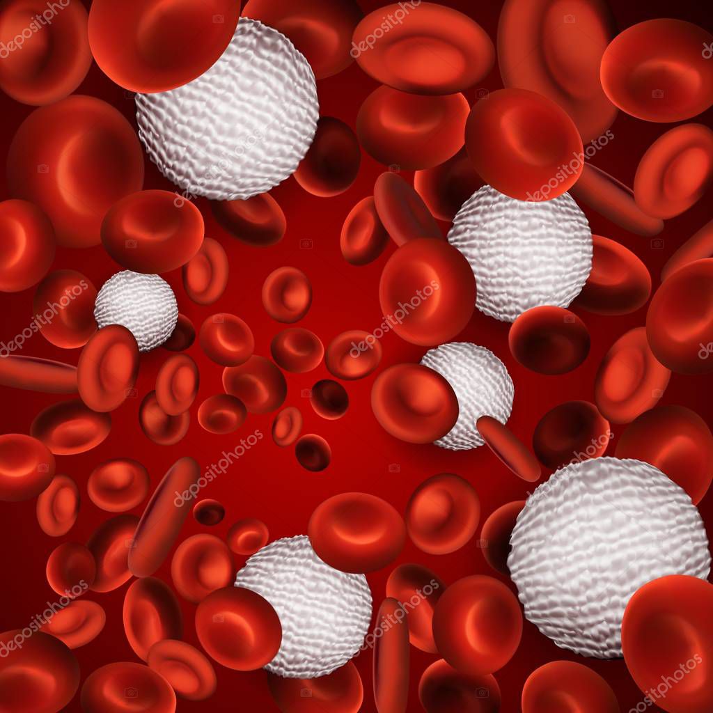 Ver bajo un microscopio, glóbulos rojos y glóbulos blancos en un cuerpo ...