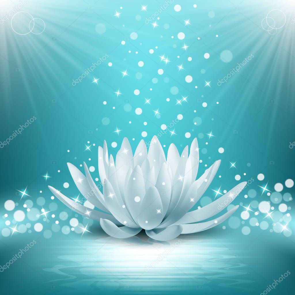 Flor mágica de loto. Ilustración vectorial 2024