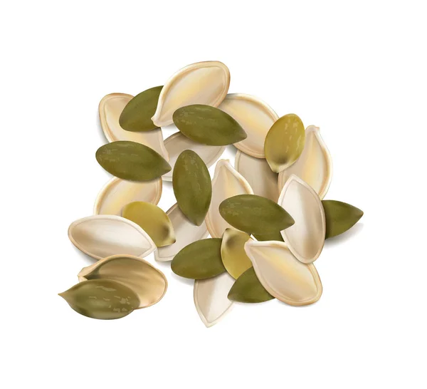 Pumpkin seeds Vector Art Stock Images | Depositphotos