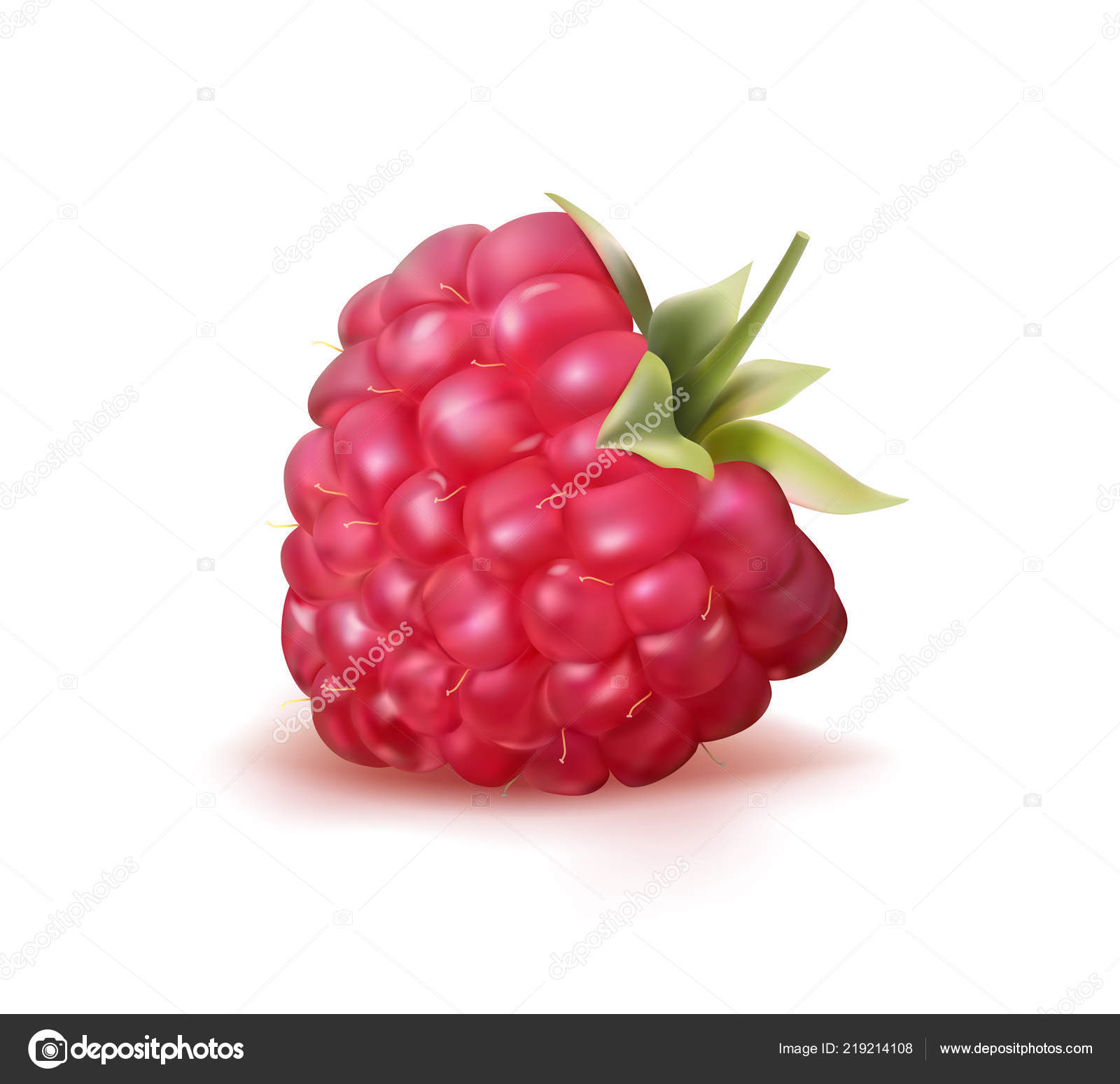 Ripe Raspberry Vector Illustration White Background Stock Vector by ...