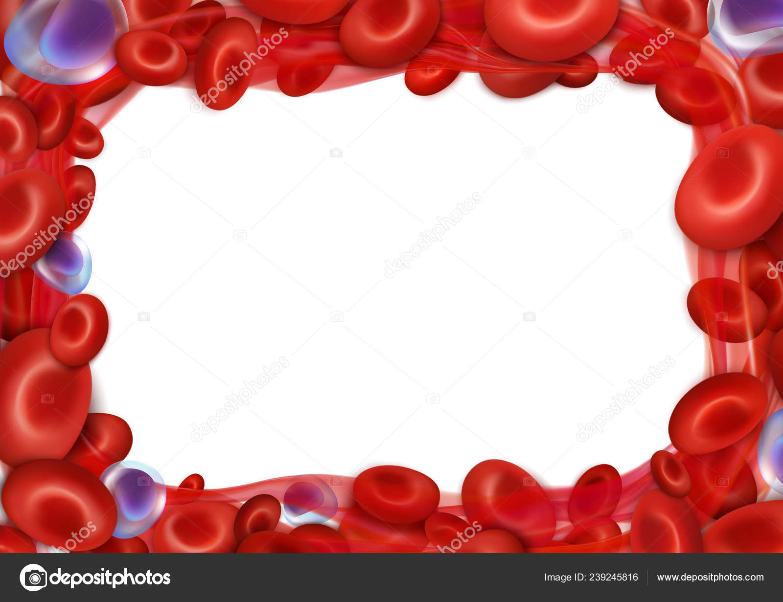 Blood Cell Border