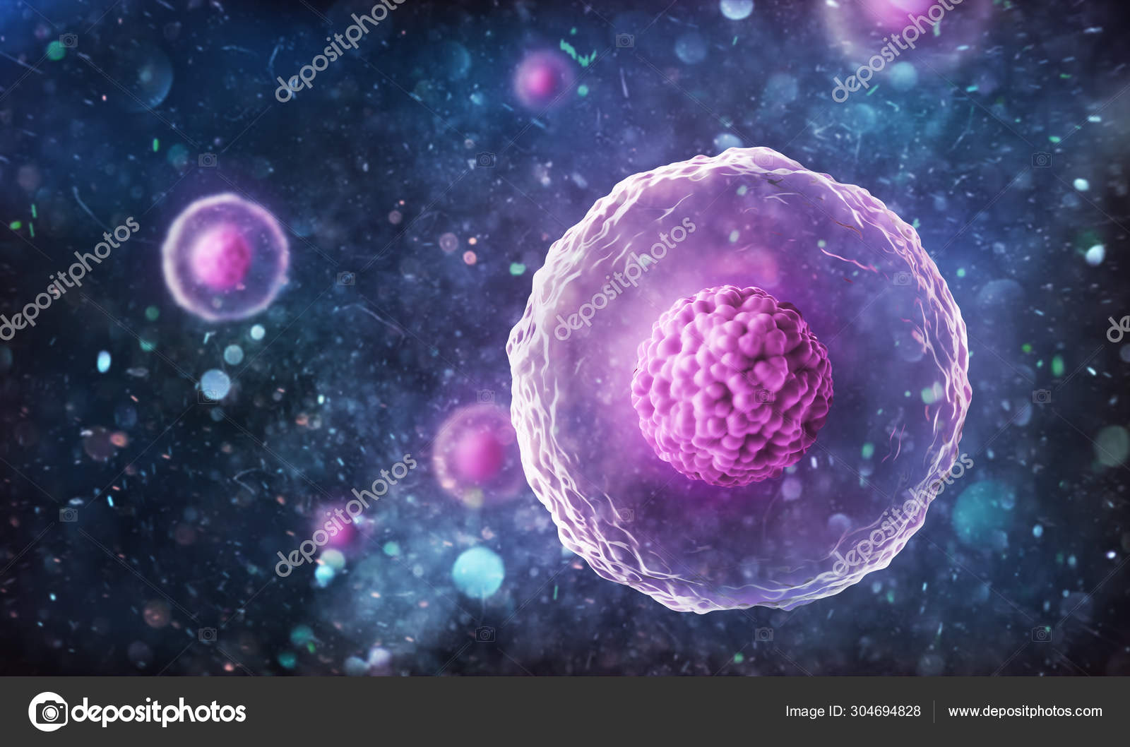 Célula humana (animal) bajo microscopio. ilustración 3d: fotografía de ...