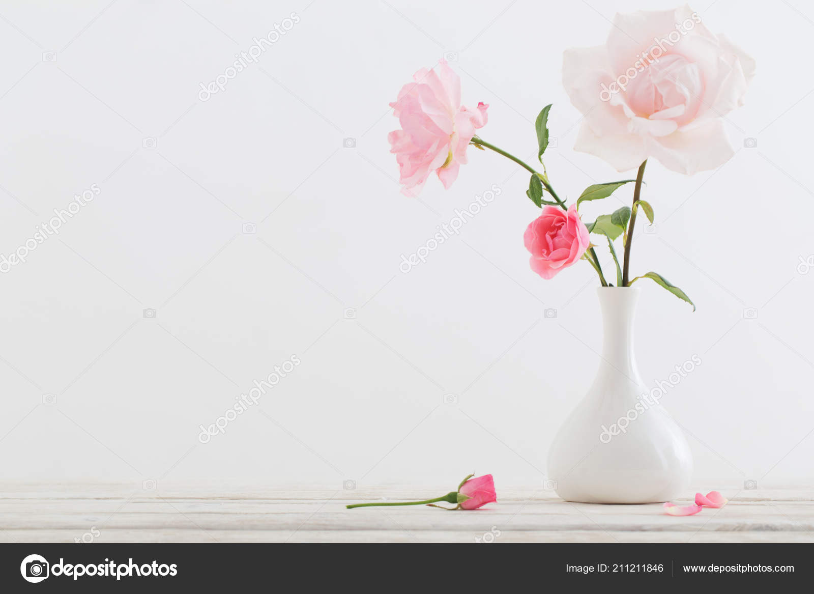 Pink Roses White Background Stock Photo by ©Kruchenkova 211211846