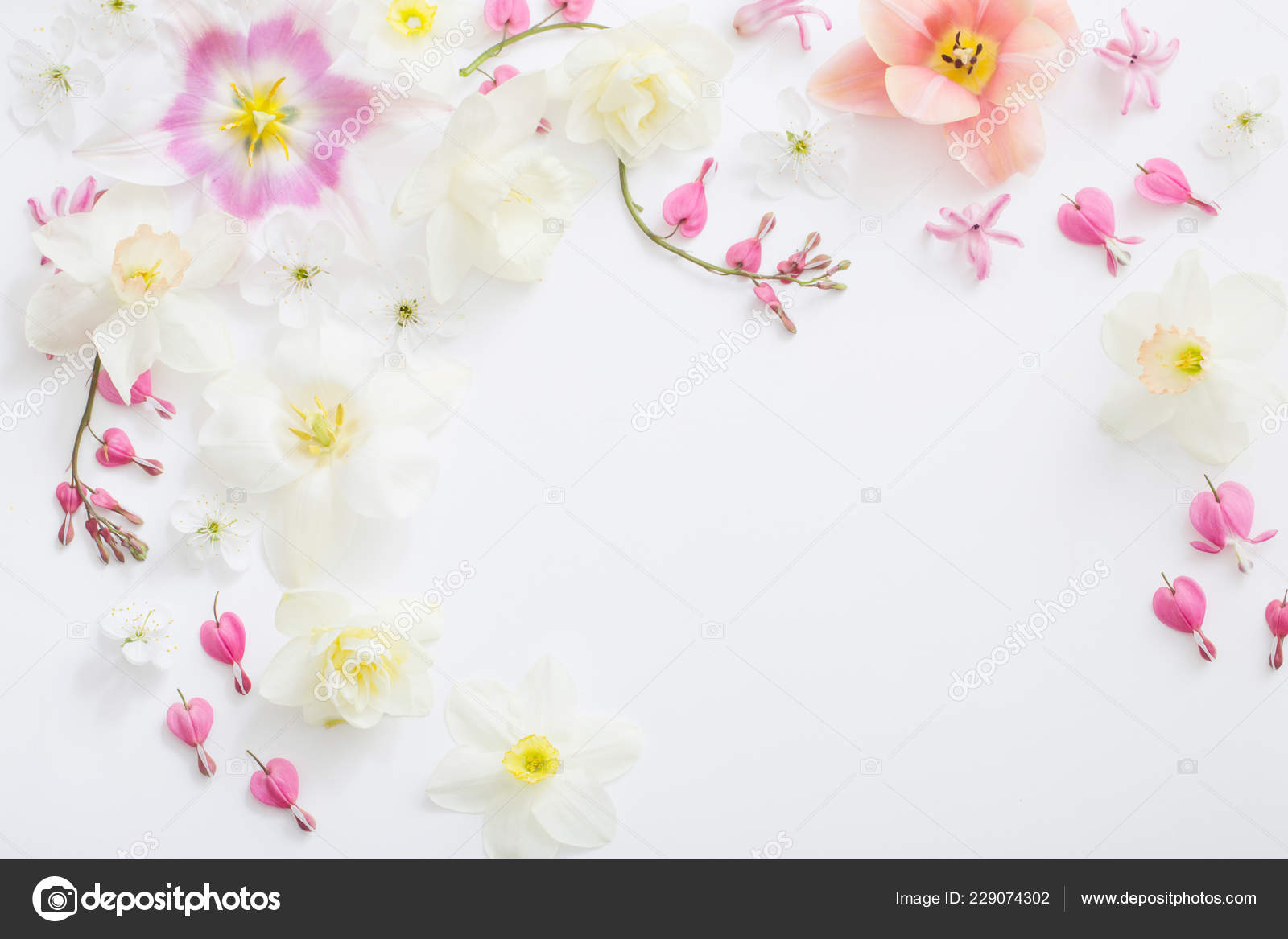 Spring Flowers White Background