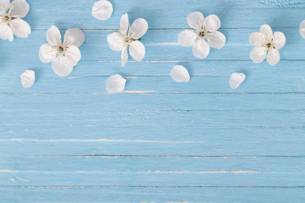 Blue spring Stock Photos, Royalty Free Blue spring Images | Depositphotos®