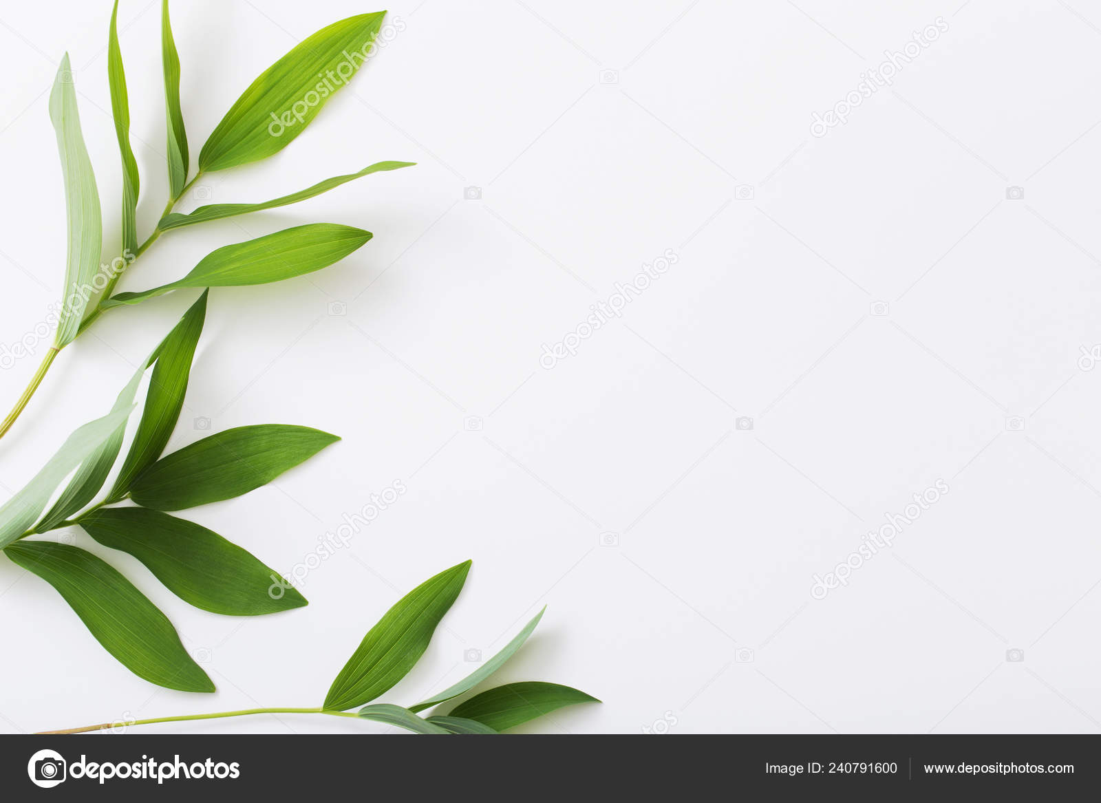 Planter Hvit Bakgrunn Planter With Frame KENA Nomad 55 X 22 Cm