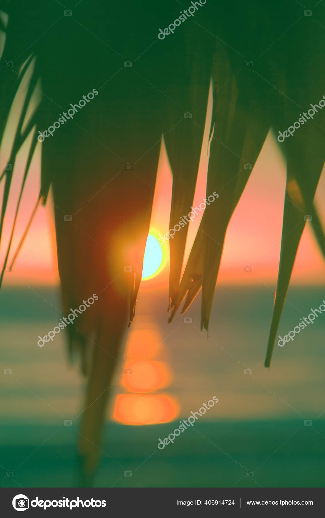 Promise Heavenly Rest Sunset Leaves Palm Trees Indian Ocean Tropical ...