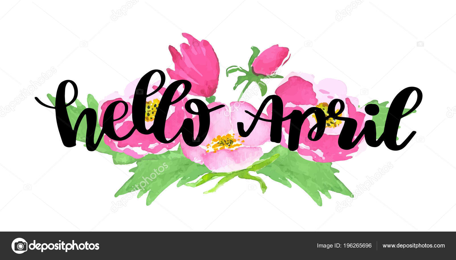 Hello April Spring Lettering Quote Wild Pink Rose Background Flowers ...