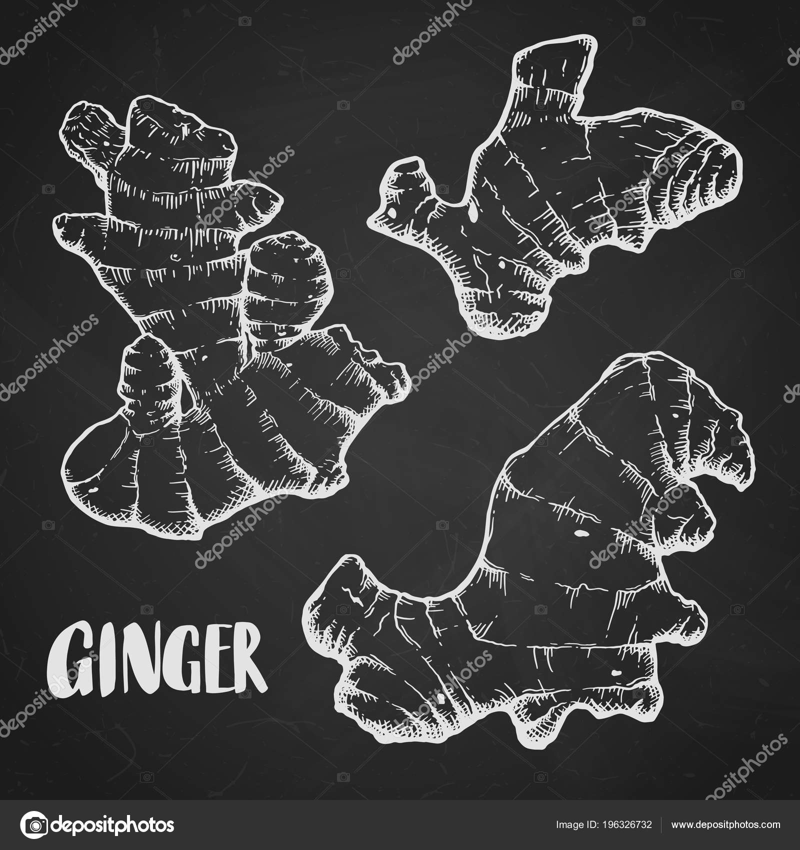 Ginger Root Set White Isolated Black Textured Background Hand Drawn ...