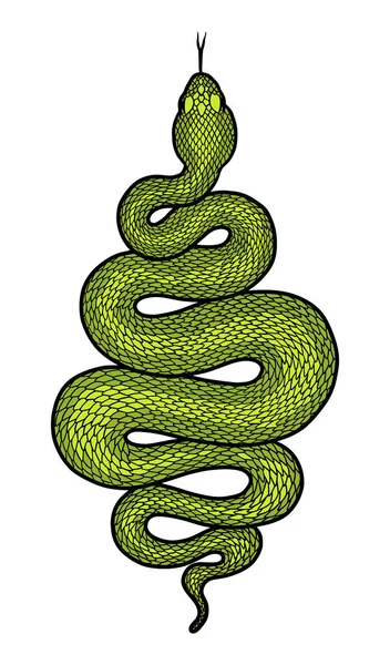 186 Coiled snake Vector Images | Depositphotos