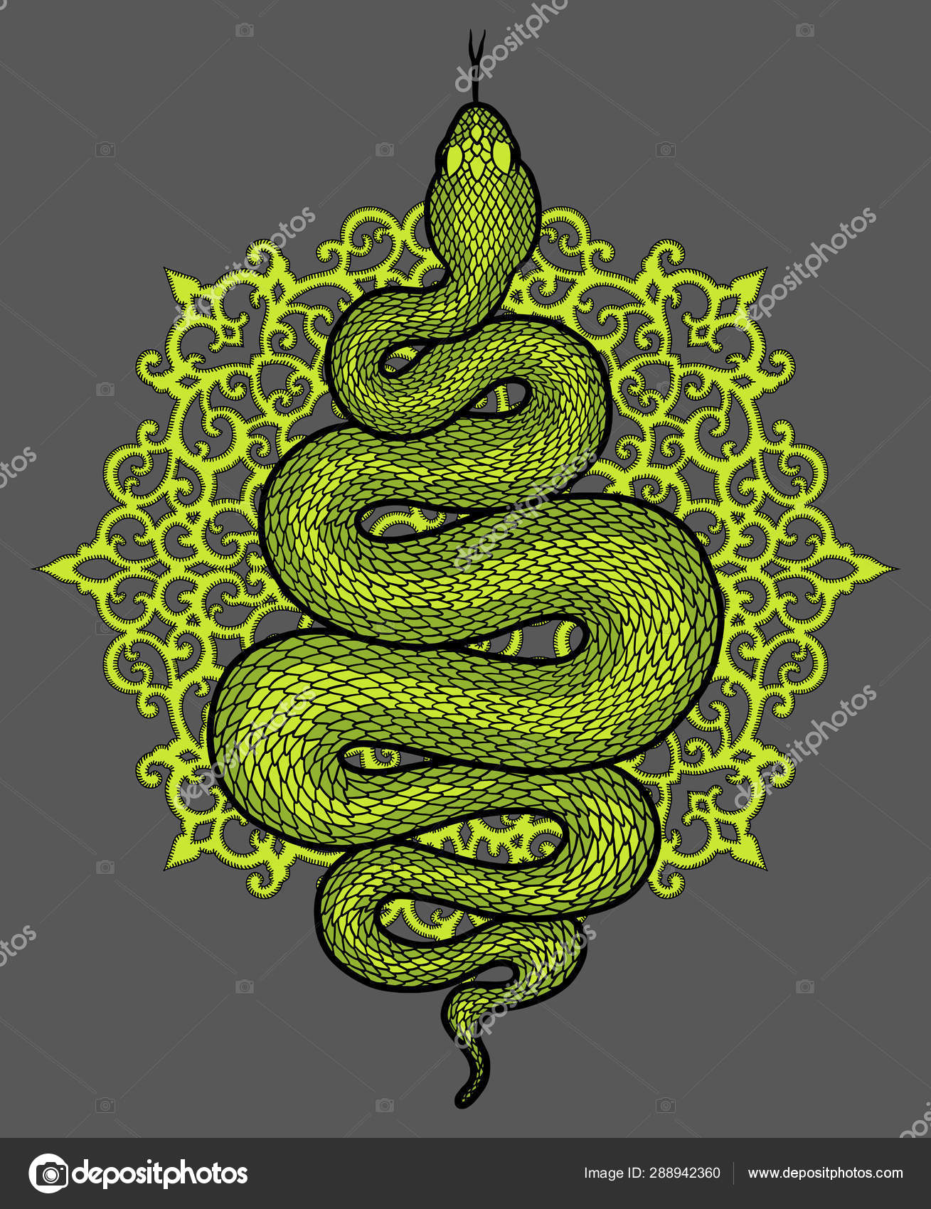 Coiled Snake Drawing