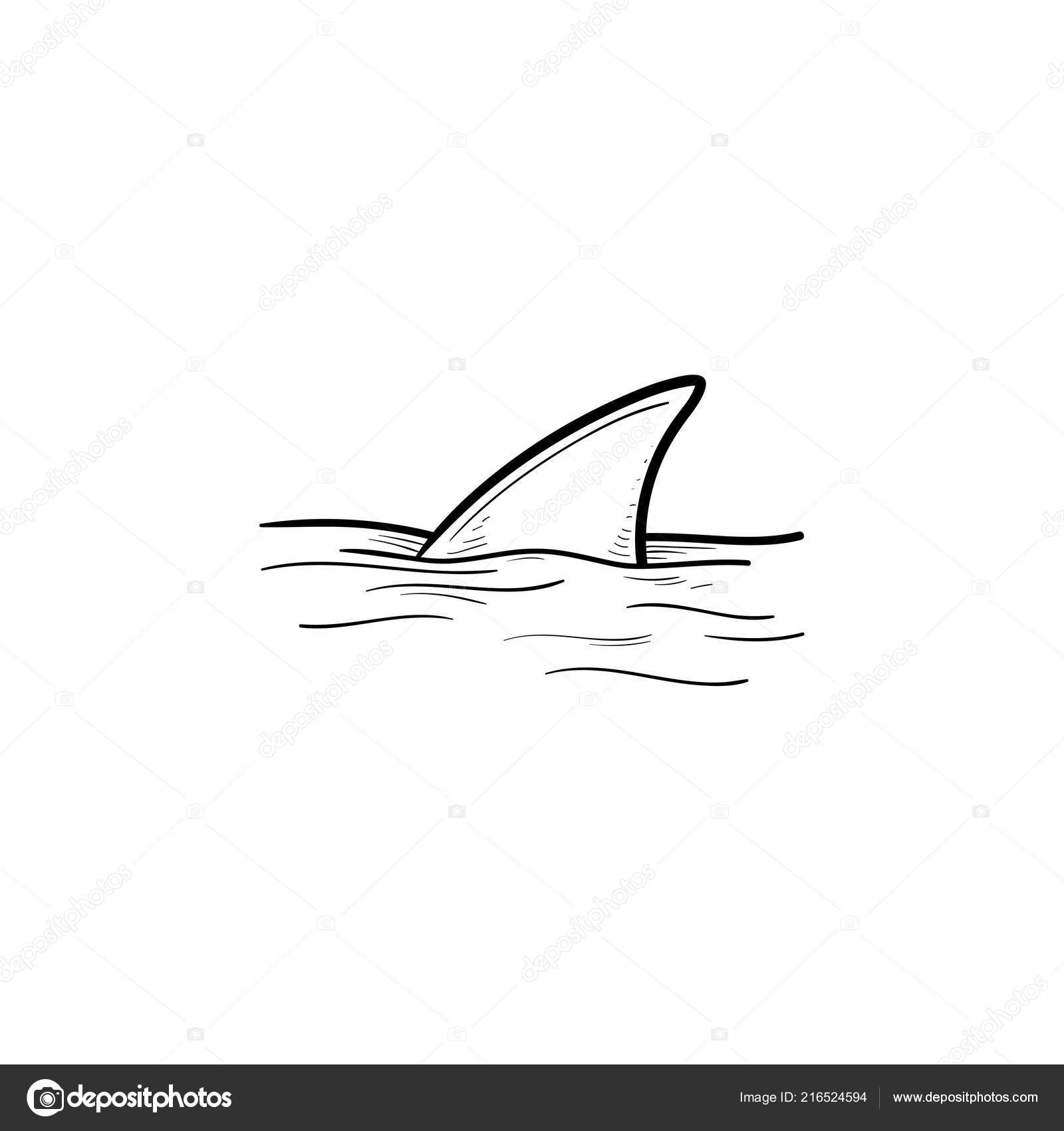 Shark fin doodle | Shark fin over water hand drawn outline doodle icon ...