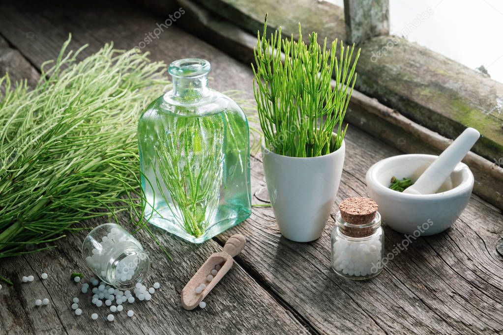 Hierba curativa de cola de caballo, botella de infusi n de equiseto, mortero y botellas de gl ...