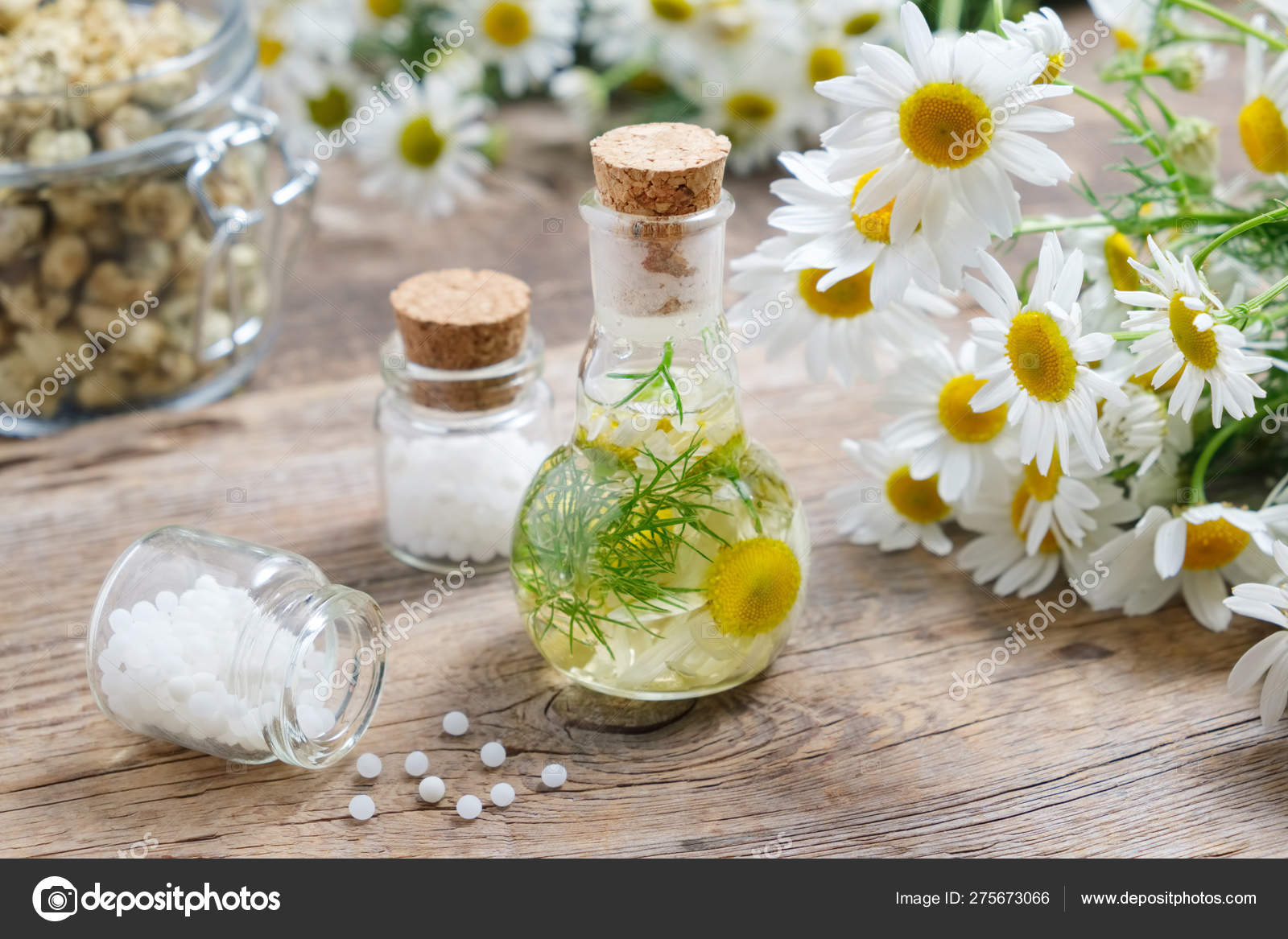 Daisy infusion bottle, Chamomile flowers, bottles of homeopathic ...