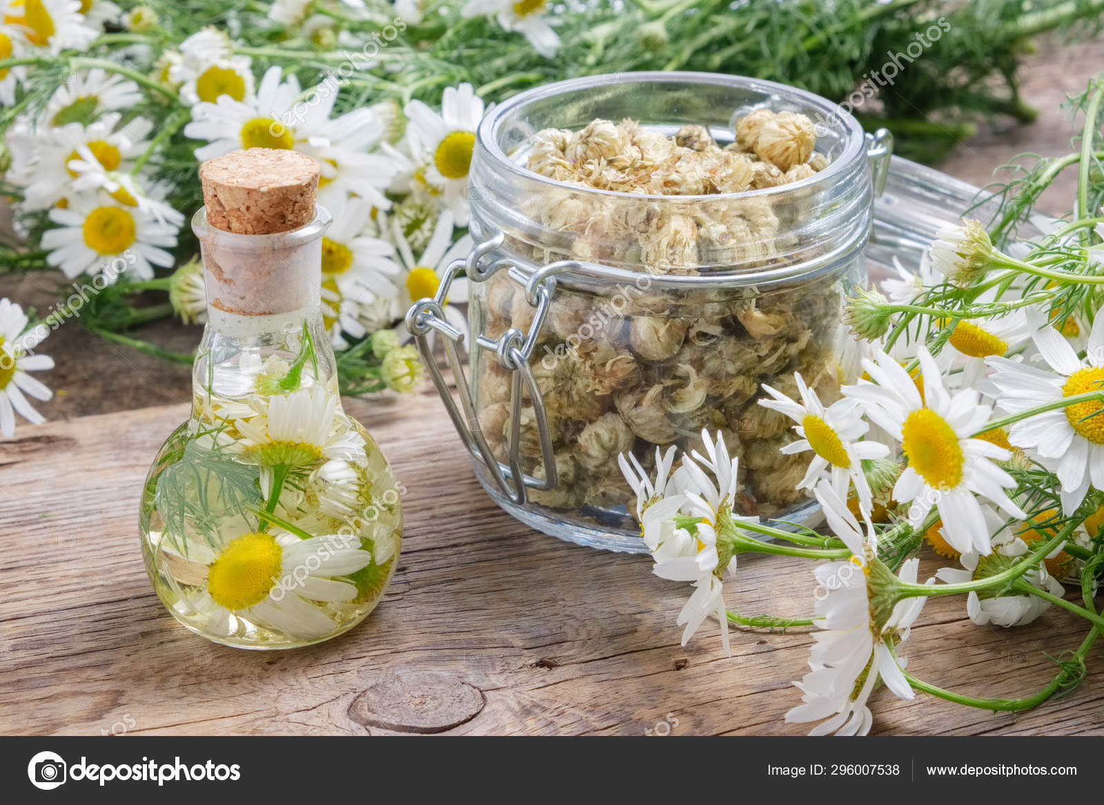 Daisy infusion or tincture bottle, Chamomile flowers, glass jar of dry ...
