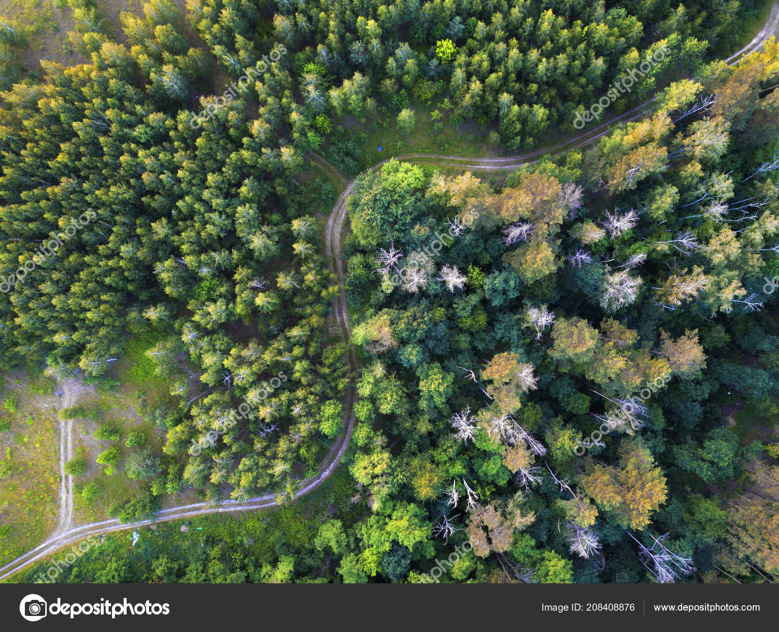 Aerial View Green Forest Integral Natural Ecological Environment ...
