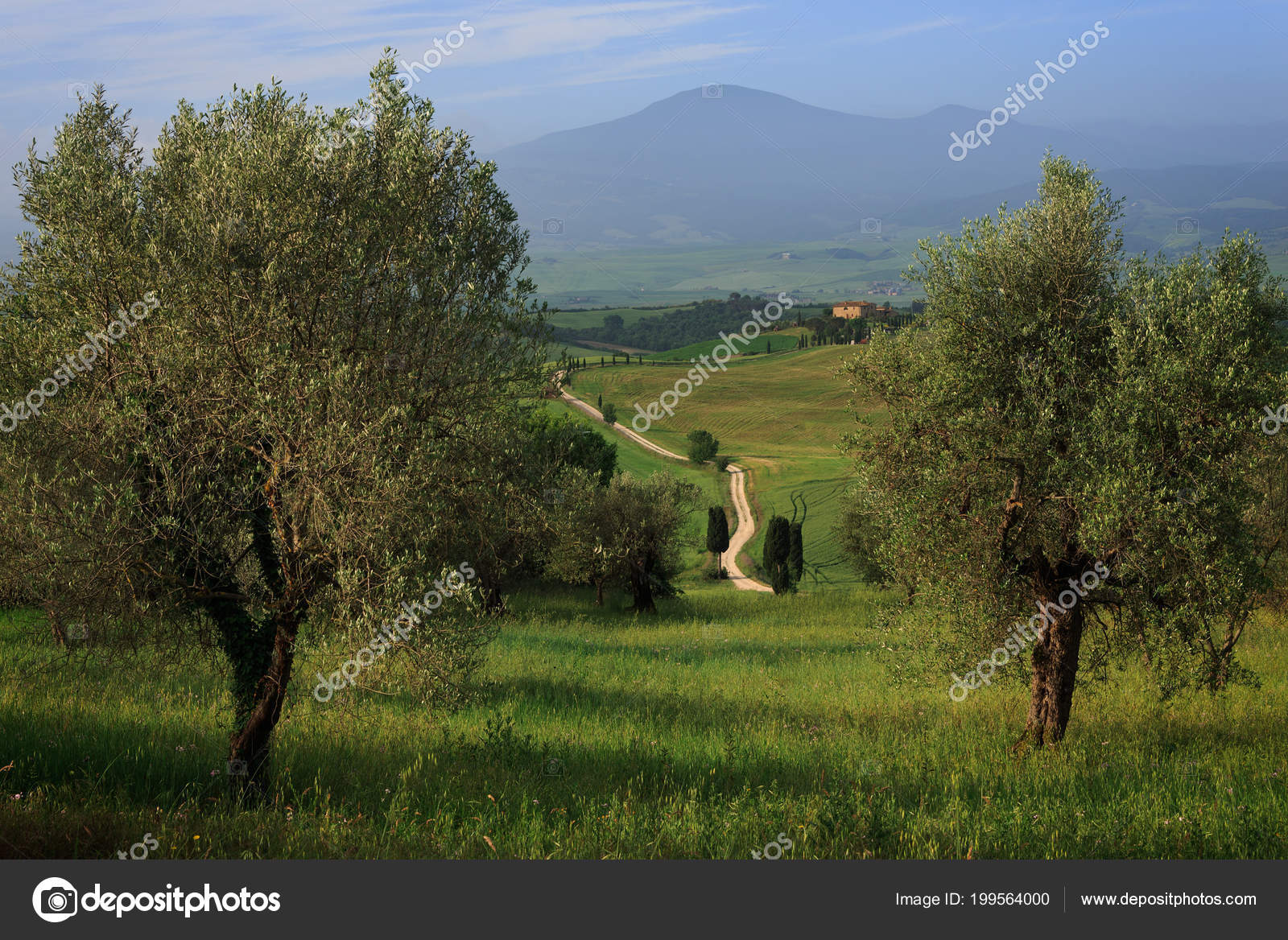 Landscape Tuscany Famous Gladiator Road White Dirt Road Unpaved Strade ...