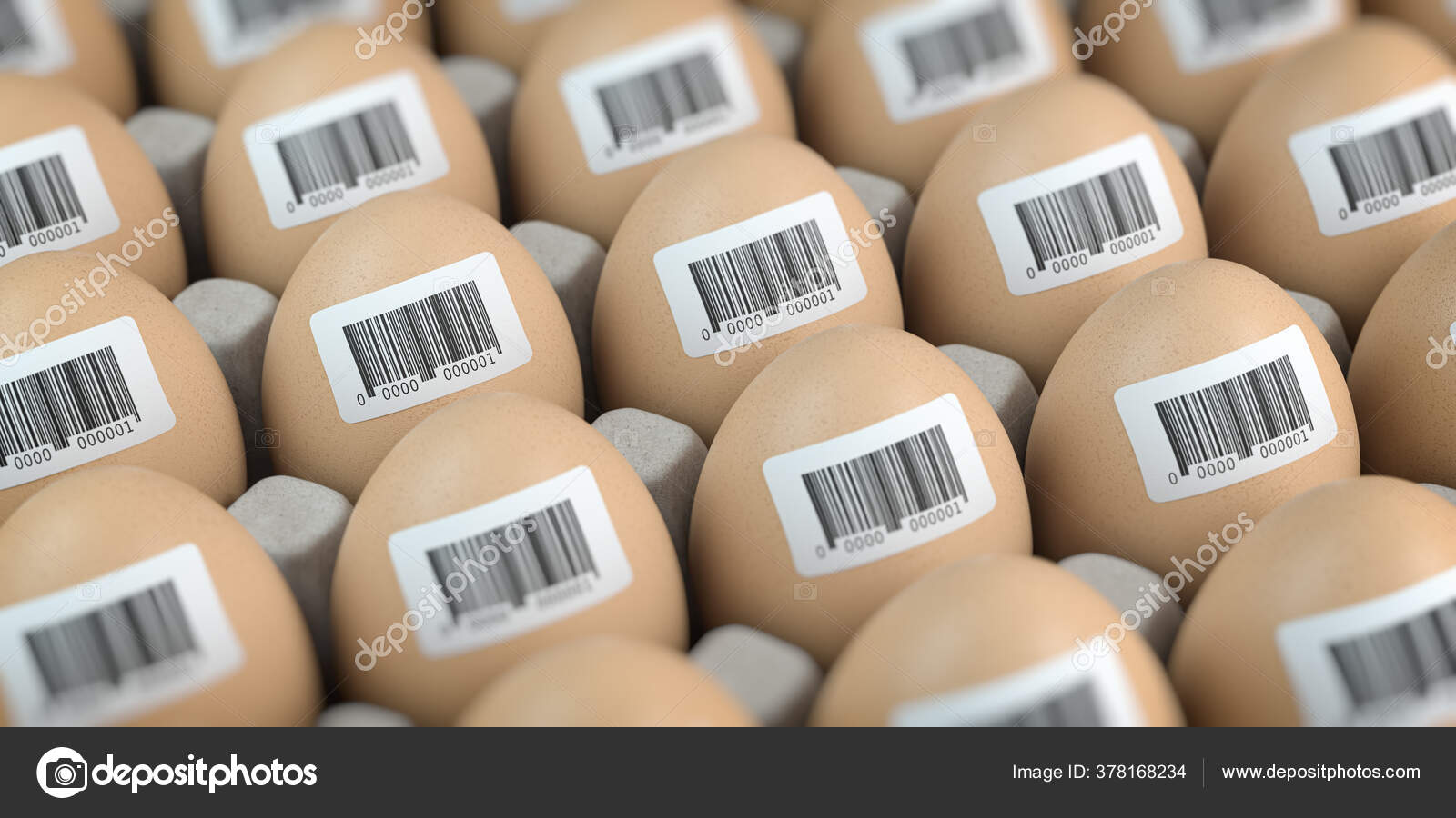 Egg Carton Closed With Barcode
