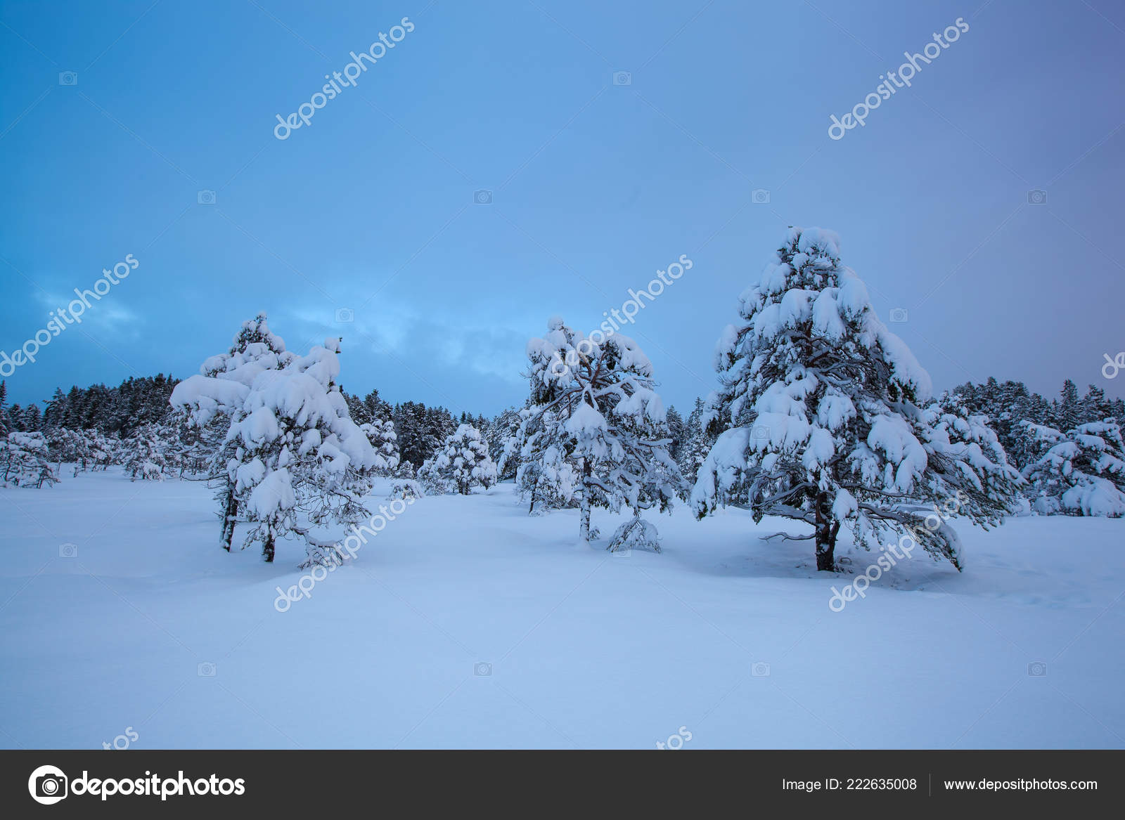 Beautiful Winter Landscape Snow Tree Stock Photo by ©duskbabe 222635008