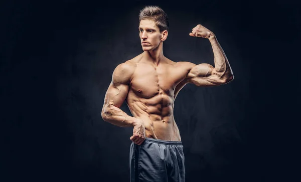 Handsome Shirtless Ectomorph Bodybuilder Stylish Hair Posing Dark ...