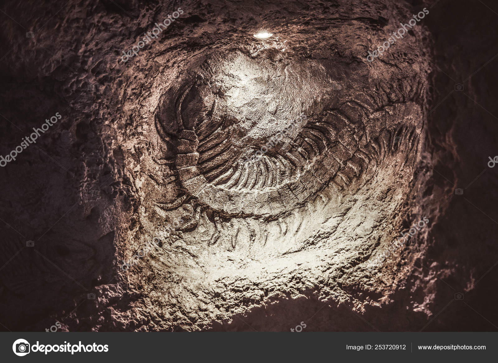 Excavations, fossil, underground. Skeleton of an ancient Scolopendra ...